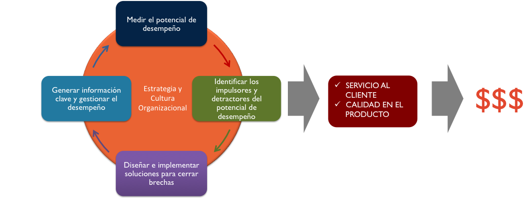 Ruta al exito – Stratego Management